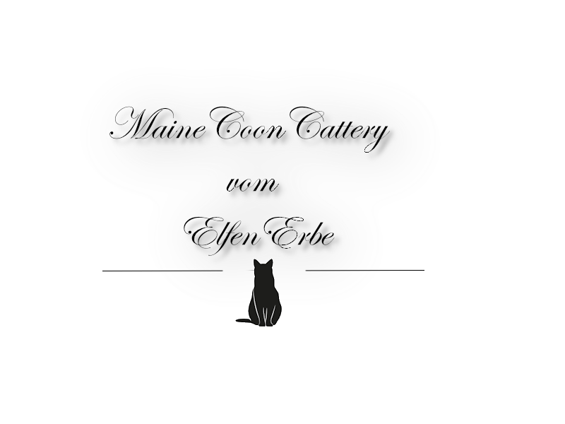 MaineCoonvomElfenErbe - Startseite